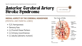 Cerebrovascular Accident (CVA) | PDF | Brain and Nervous System ...