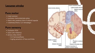 Cerebrovascular Accident (CVA) | PDF