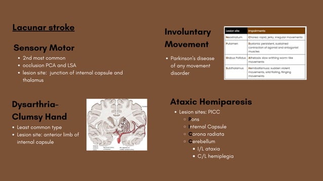 Cerebrovascular Accident (CVA) | PDF | Brain and Nervous System Disorders | Diseases and Conditions