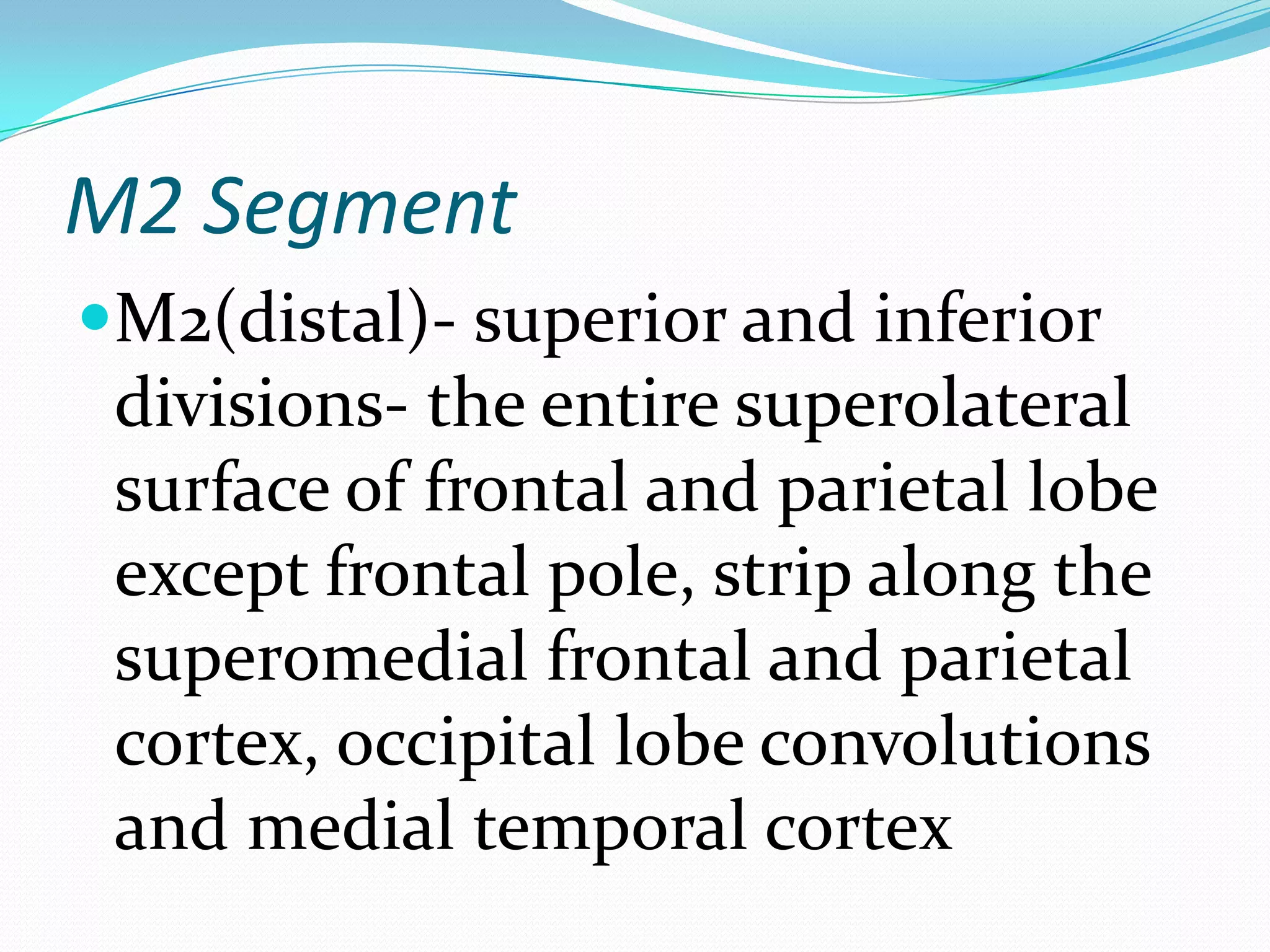 Stroke syndromes | PPTX