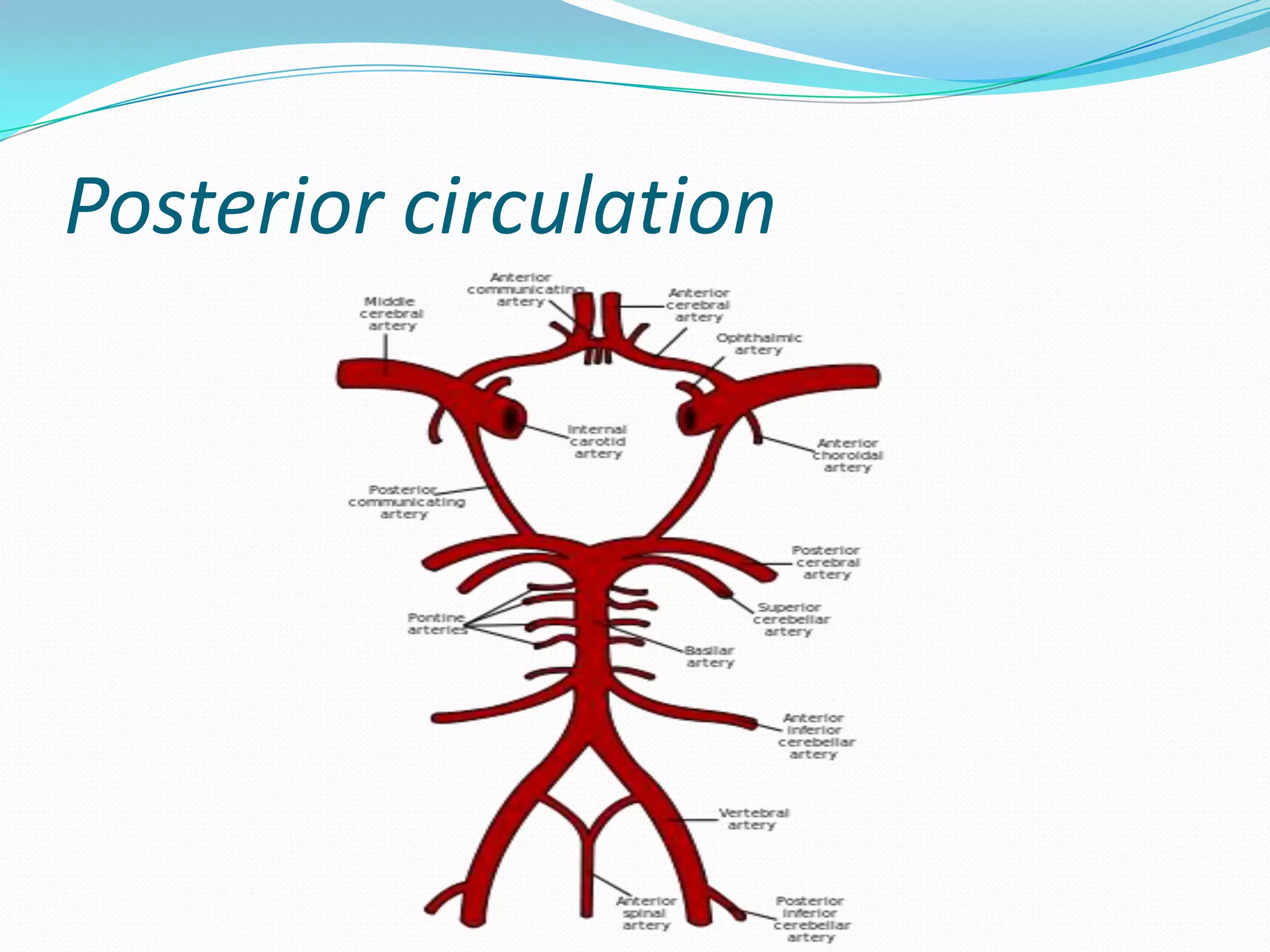 Stroke syndromes | PPTX