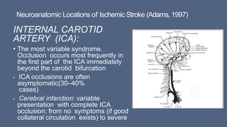 Strokesyndromes By Dr Shyam sunder Sharma | PPTX