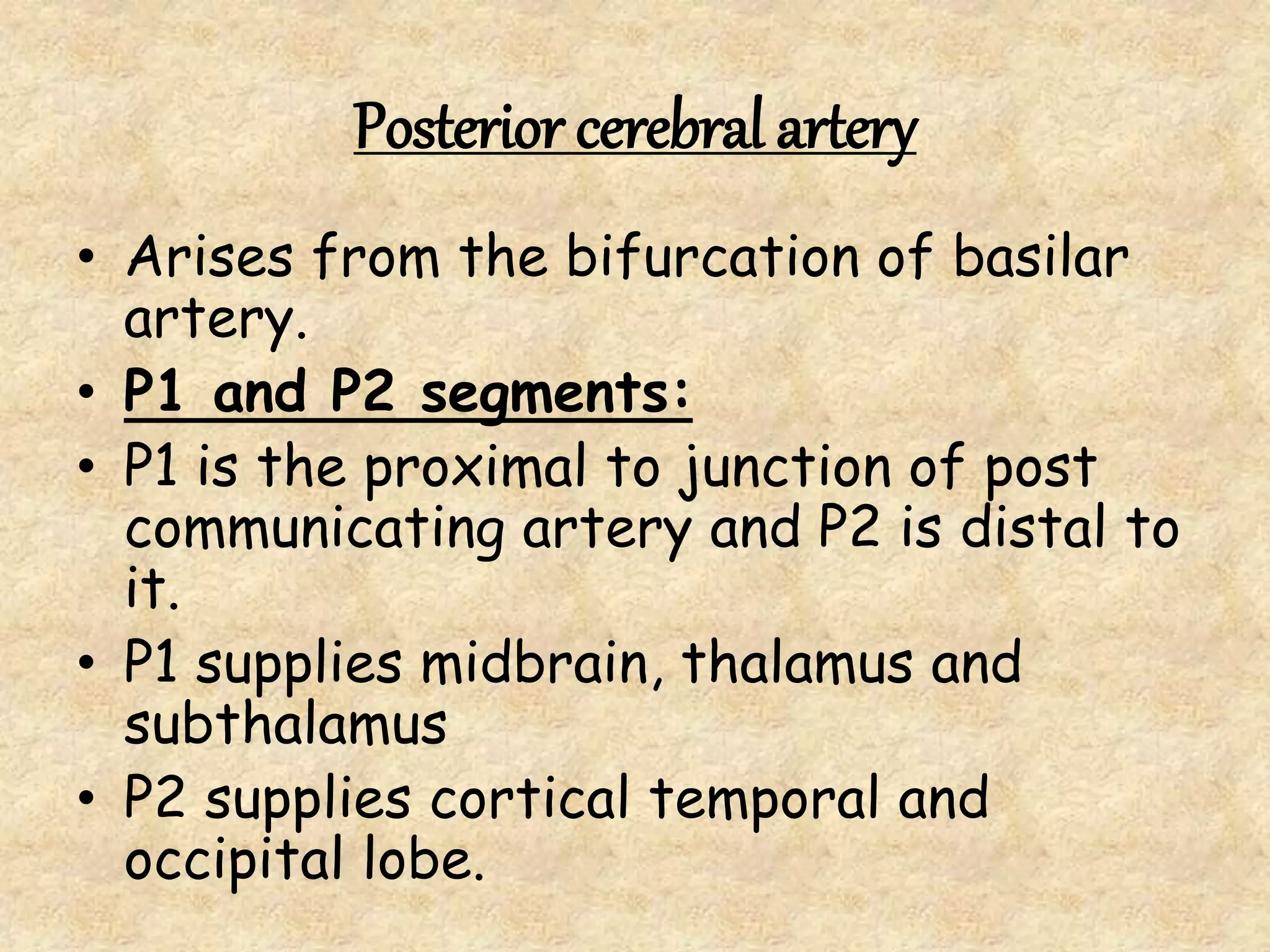 STROKE SYNDROMES.pptx
