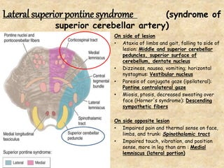 STROKE SYNDROMES.pptx