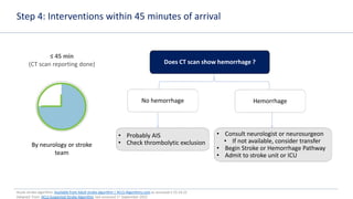 Stroke Treatment Algorithm and Real life experience with implementation ...