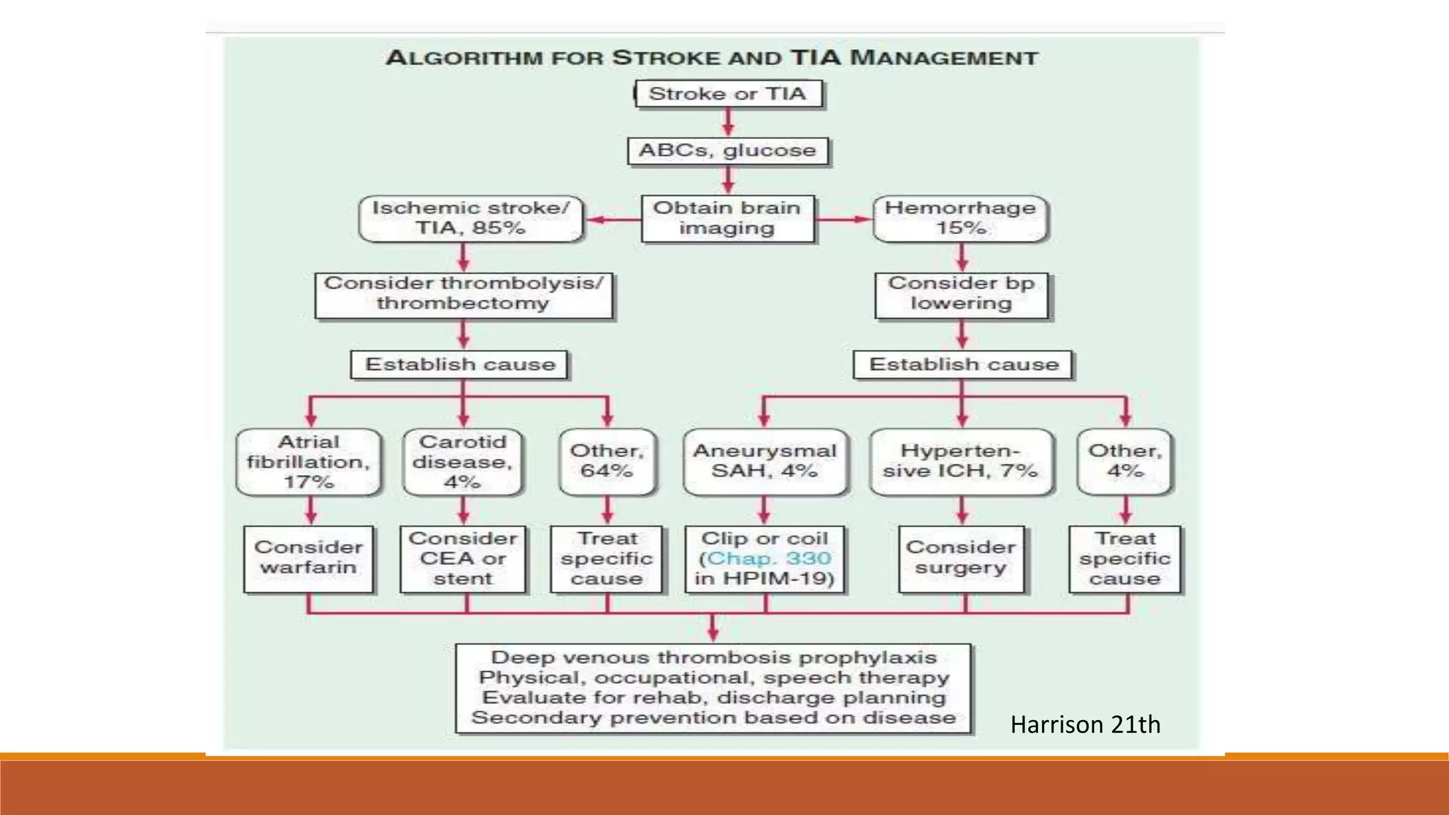 Stroke Treatment Protocol.pptx