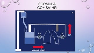 Stroke volume and cardiac output | PPTX