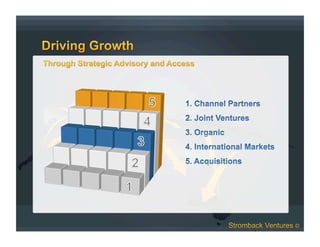 Stromback Ventures - Mentor Capital | PDF