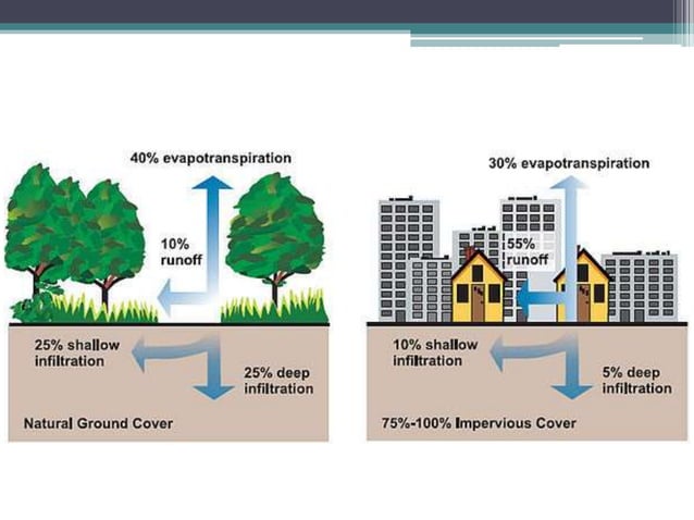 Strom water | PPTX | Geography | Science