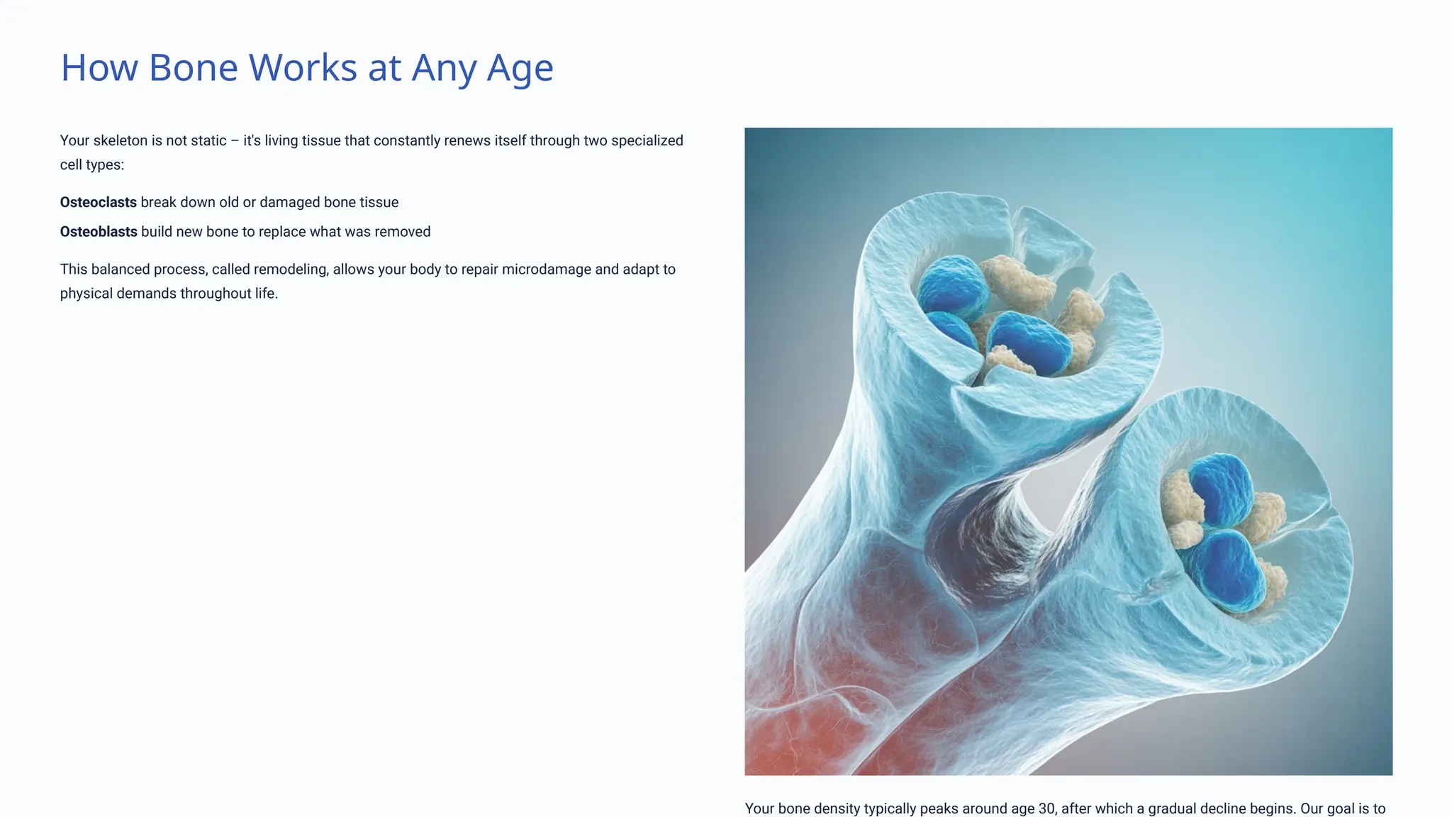 Strong Bones Made Simple: A Comprehensive Guide to Preventing ...