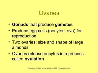 strong6_ppt_ch03 | PPT