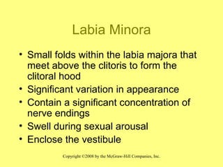 strong6_ppt_ch03 | PPT