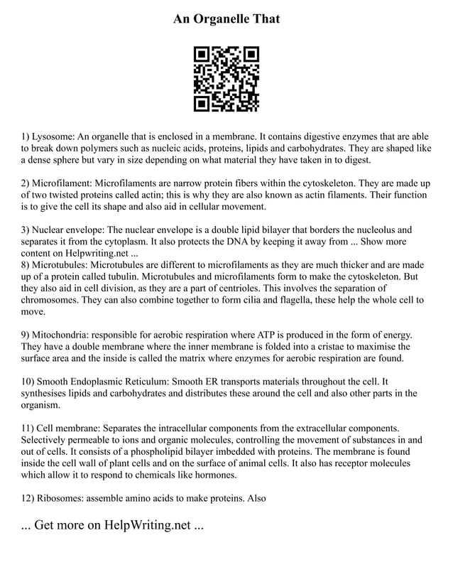 Strong Conclusion Paragraph Examples. 20 Essay Conclusion E | PDF