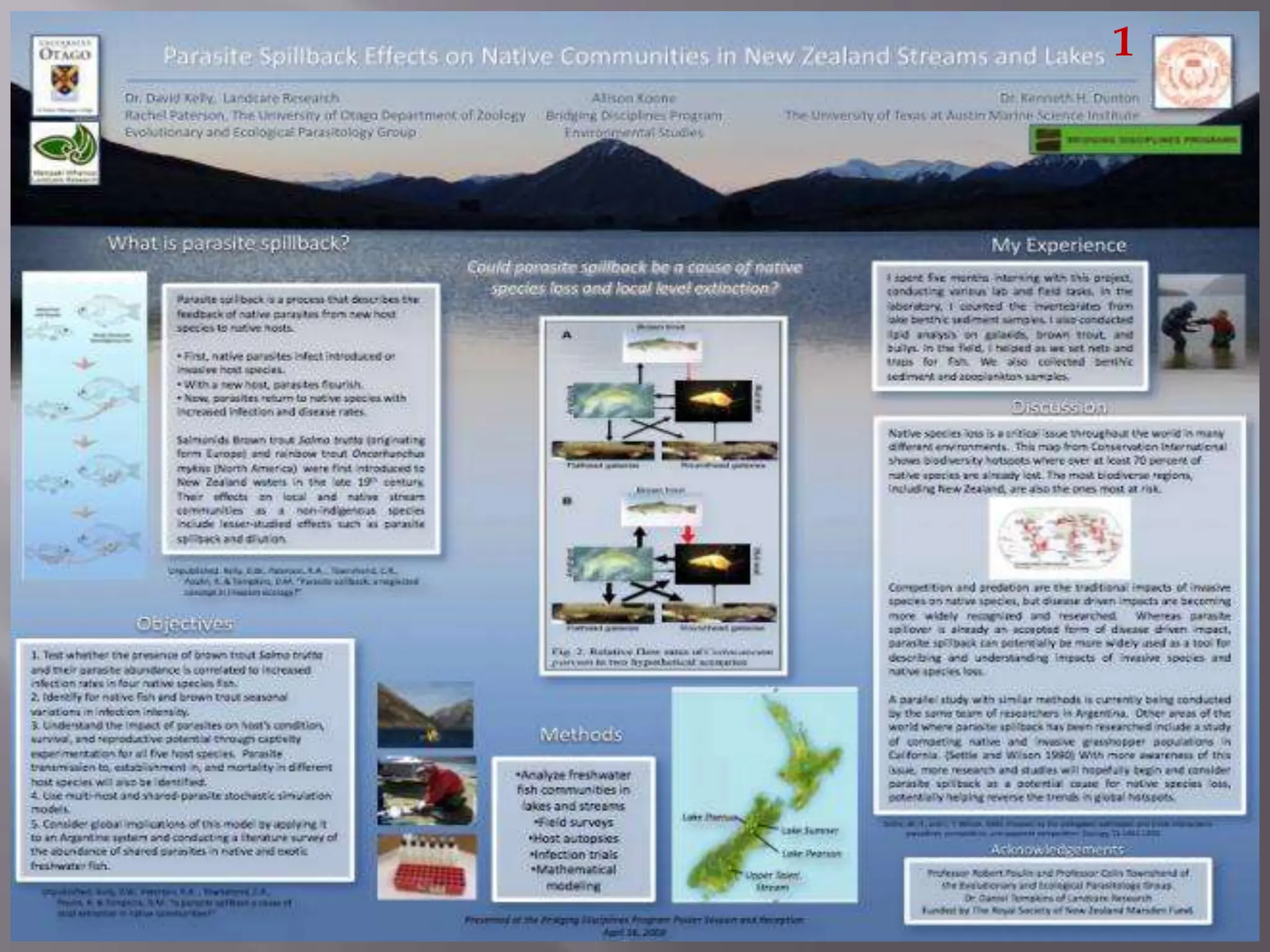 Strong Poster Presentation Examples.pptx