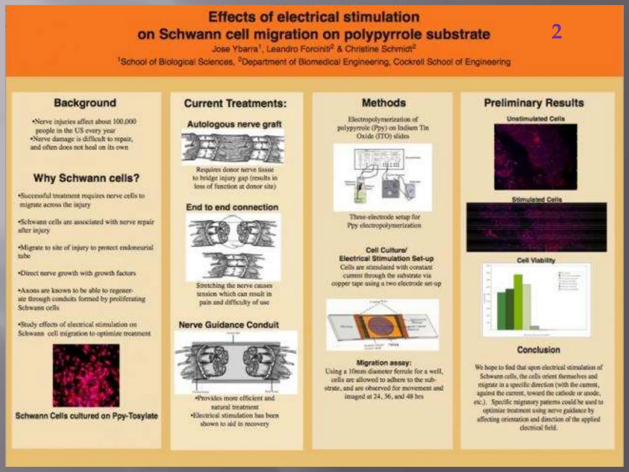 Strong Poster Presentation Examples.pptx