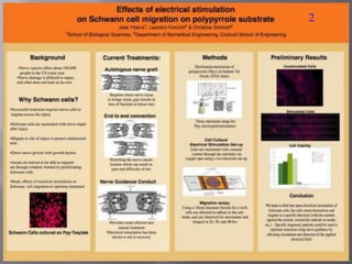 Strong Poster Presentation Examples.pptx