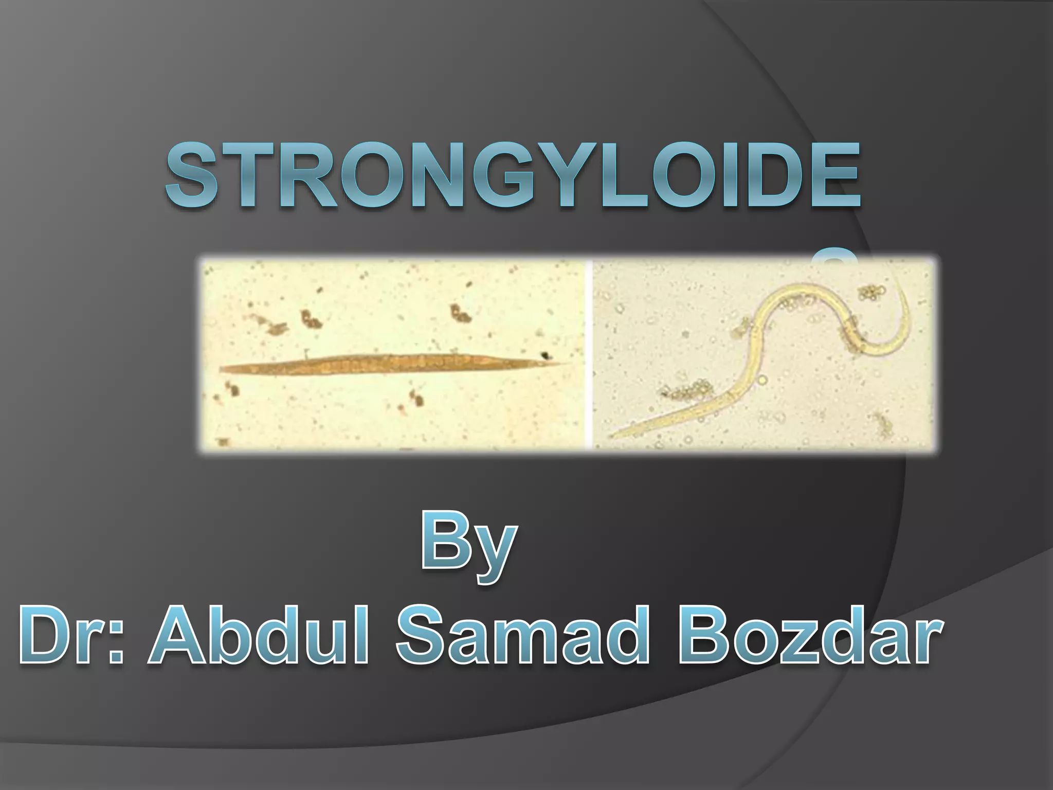 Strongyloides | PPTX