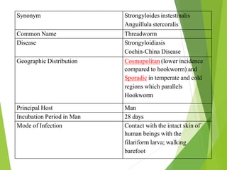strongyloides-stercoralis.pptx