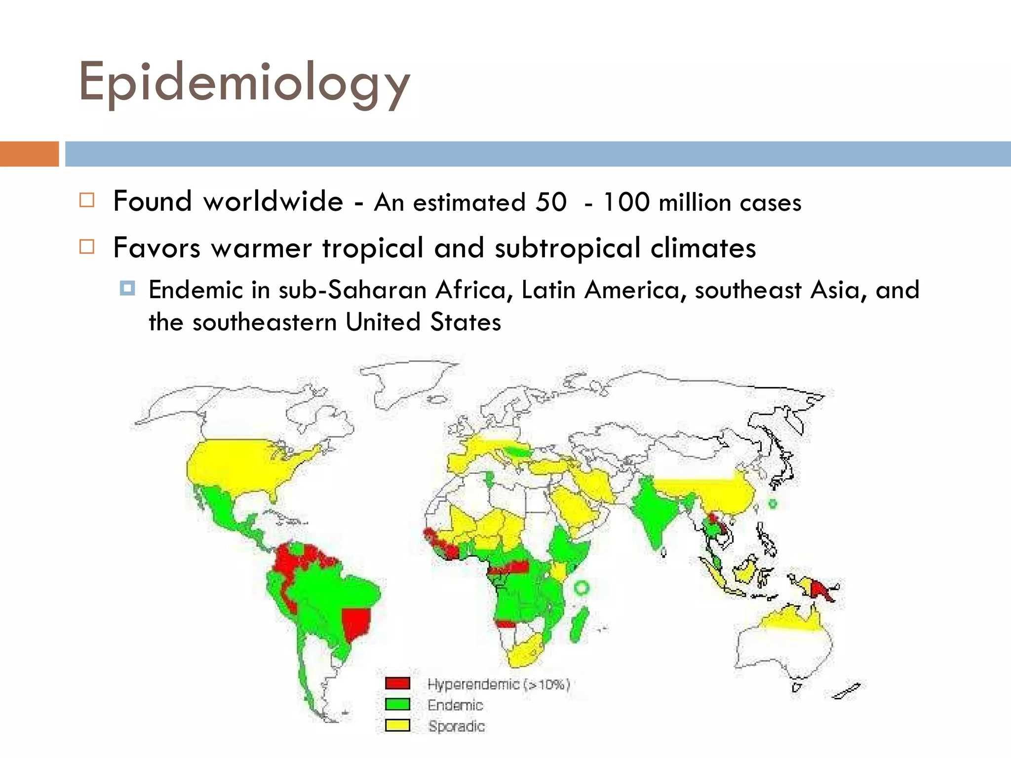 Strongyloides schistosoma | PPT