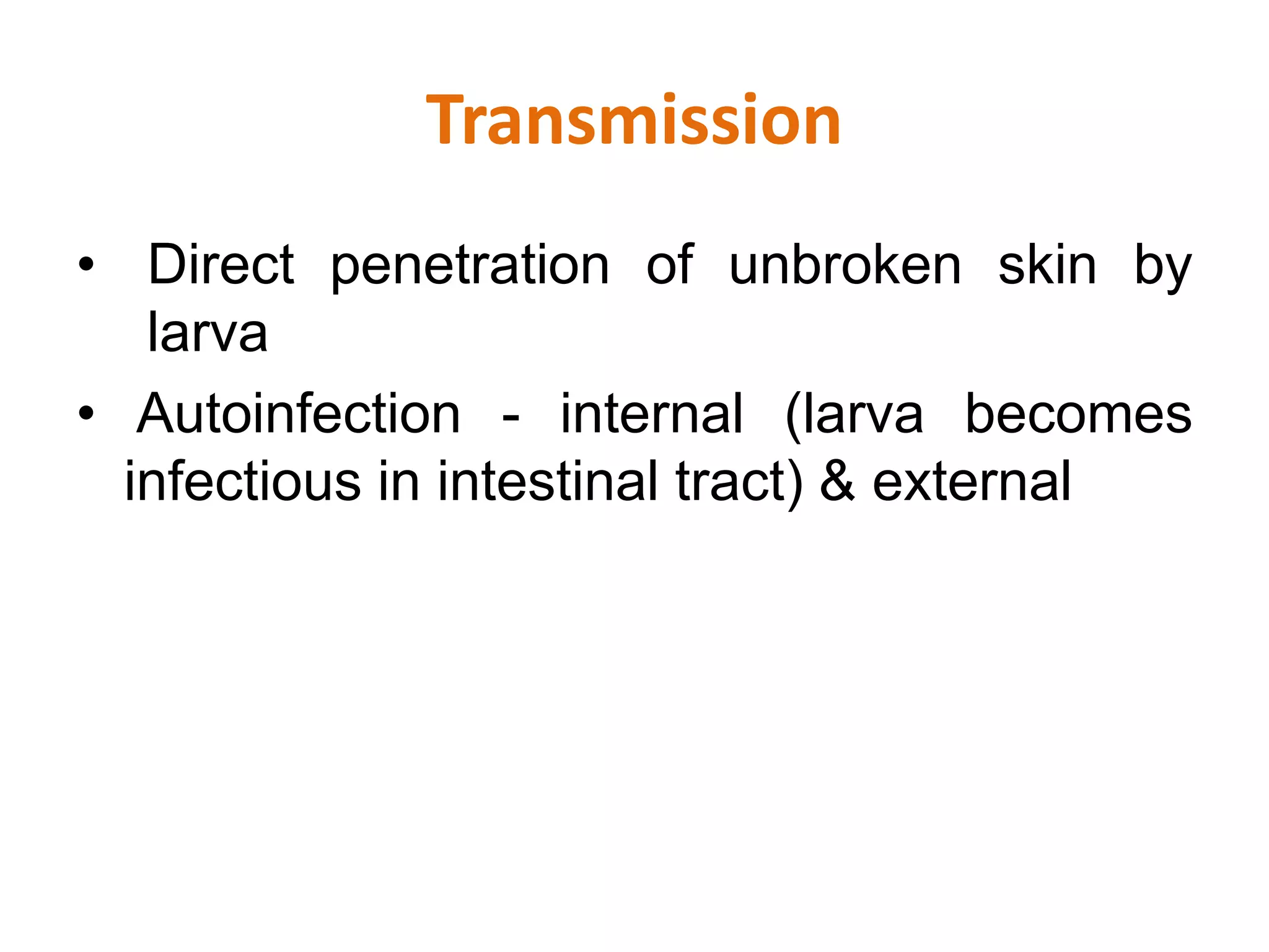 Strongyloides stercoralis | PPTX