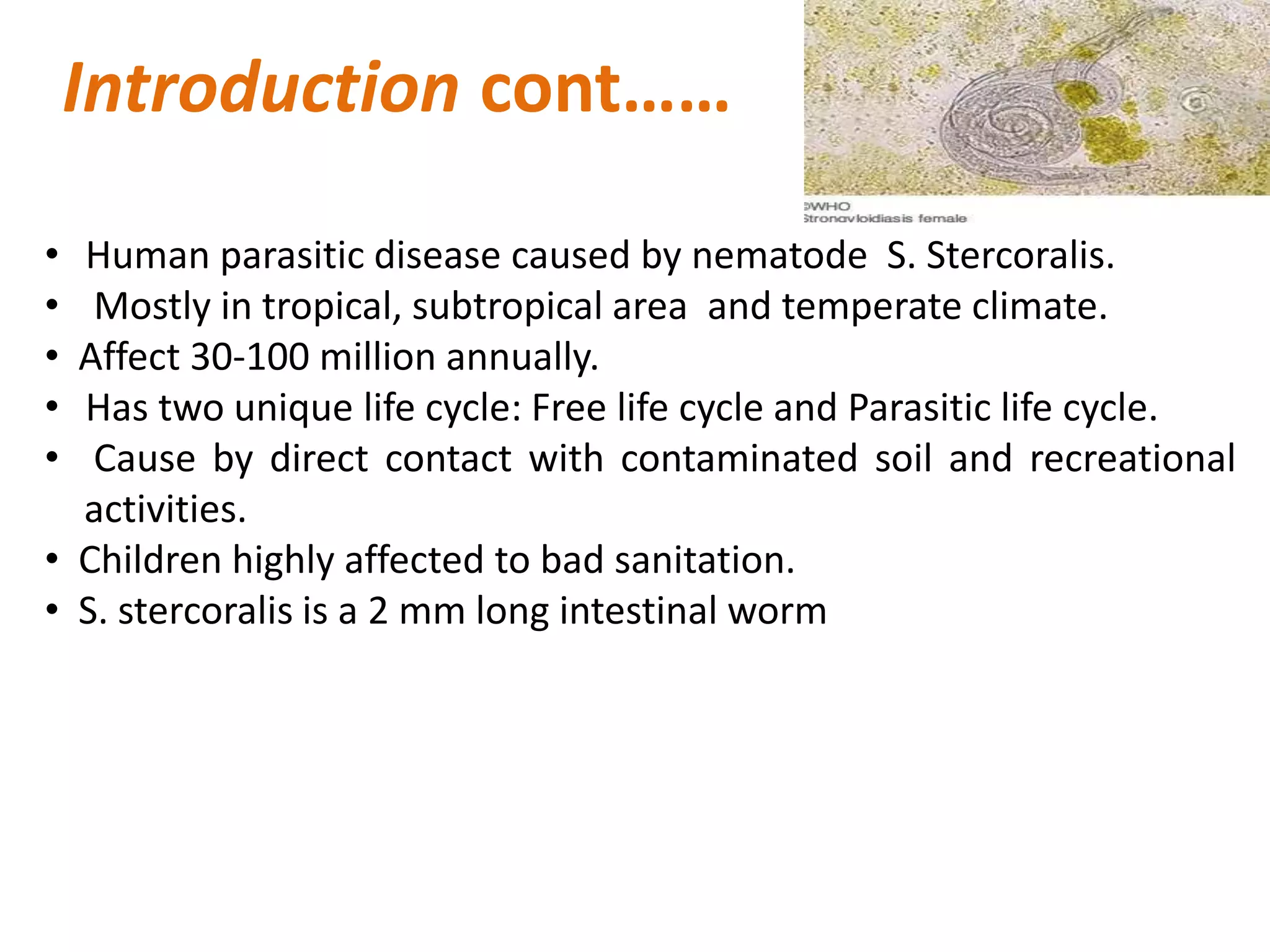 Strongyloides stercoralis | PPTX
