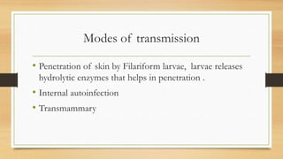 Strongyloides stercoralis | PPT