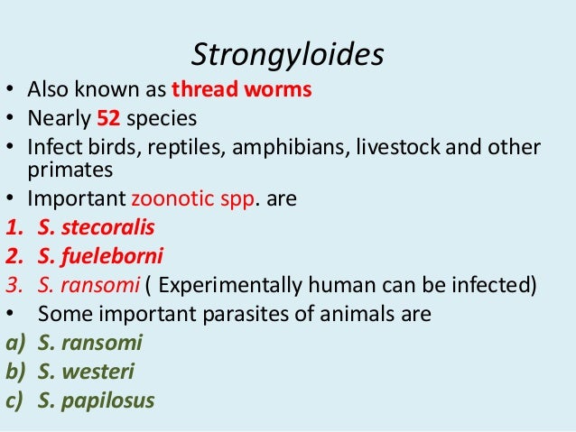Strongyloidiasis