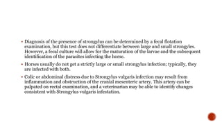 Strongylus Vulgaris Ova