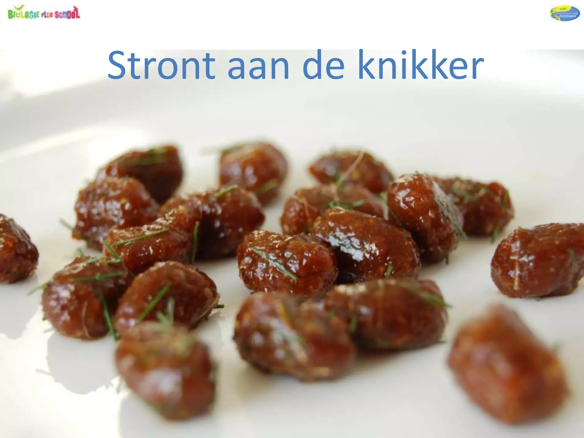 Stront aan de knikker | PPT