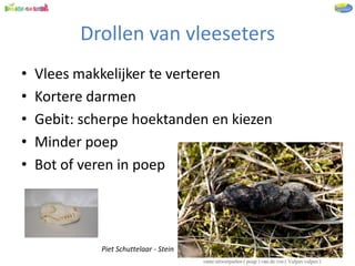 Stront aan de knikker | PPTX