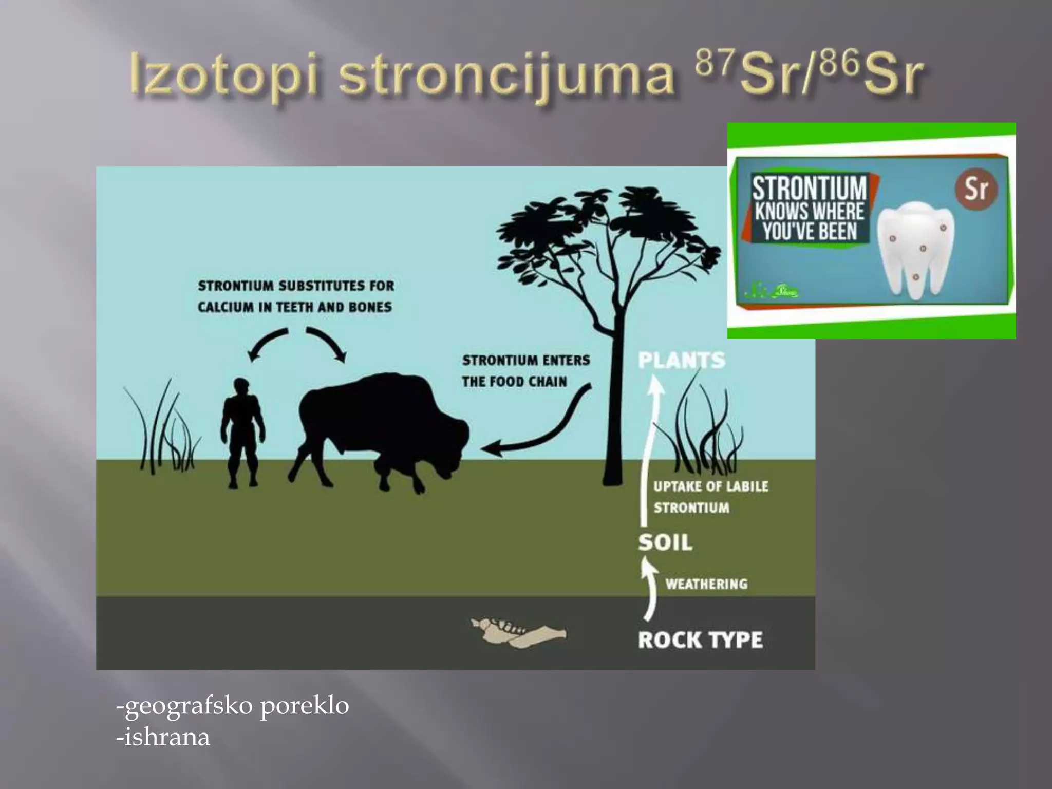STRONTIUM ISOTOPES DOCUMENT GREATER HUMAN MOBILITY AT THE START OF THE ...