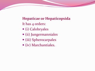 Strotler and Crandle classification of bryophyte.pdf