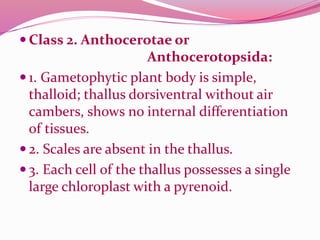 Strotler and Crandle classification of bryophyte.pdf