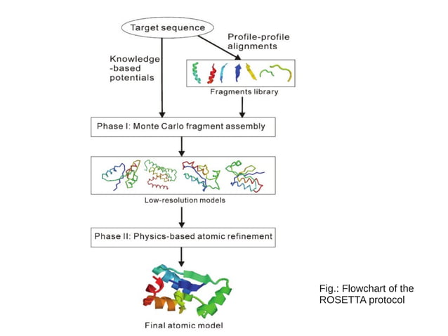 Ab Initio Protein Structure Prediction | PDF | Chemistry | Science