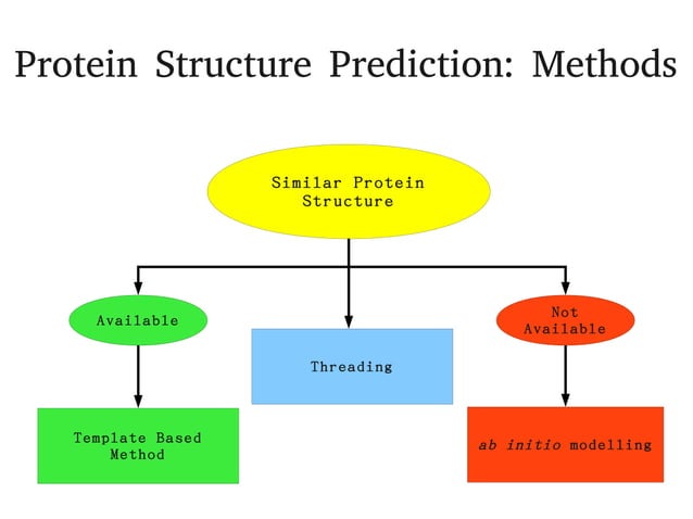 Ab Initio Protein Structure Prediction Ppt