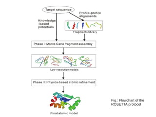 Ab Initio Protein Structure Prediction | PPT