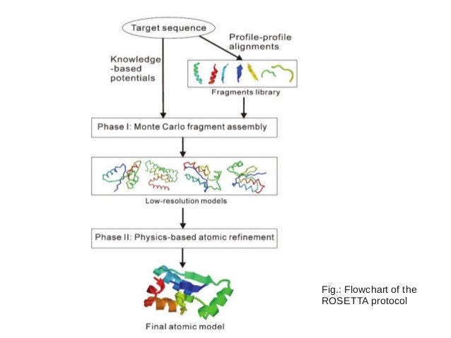 Ab Initio Protein Structure Prediction