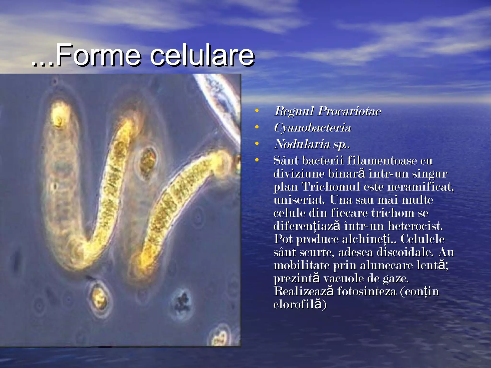 Structura celulei | PPT