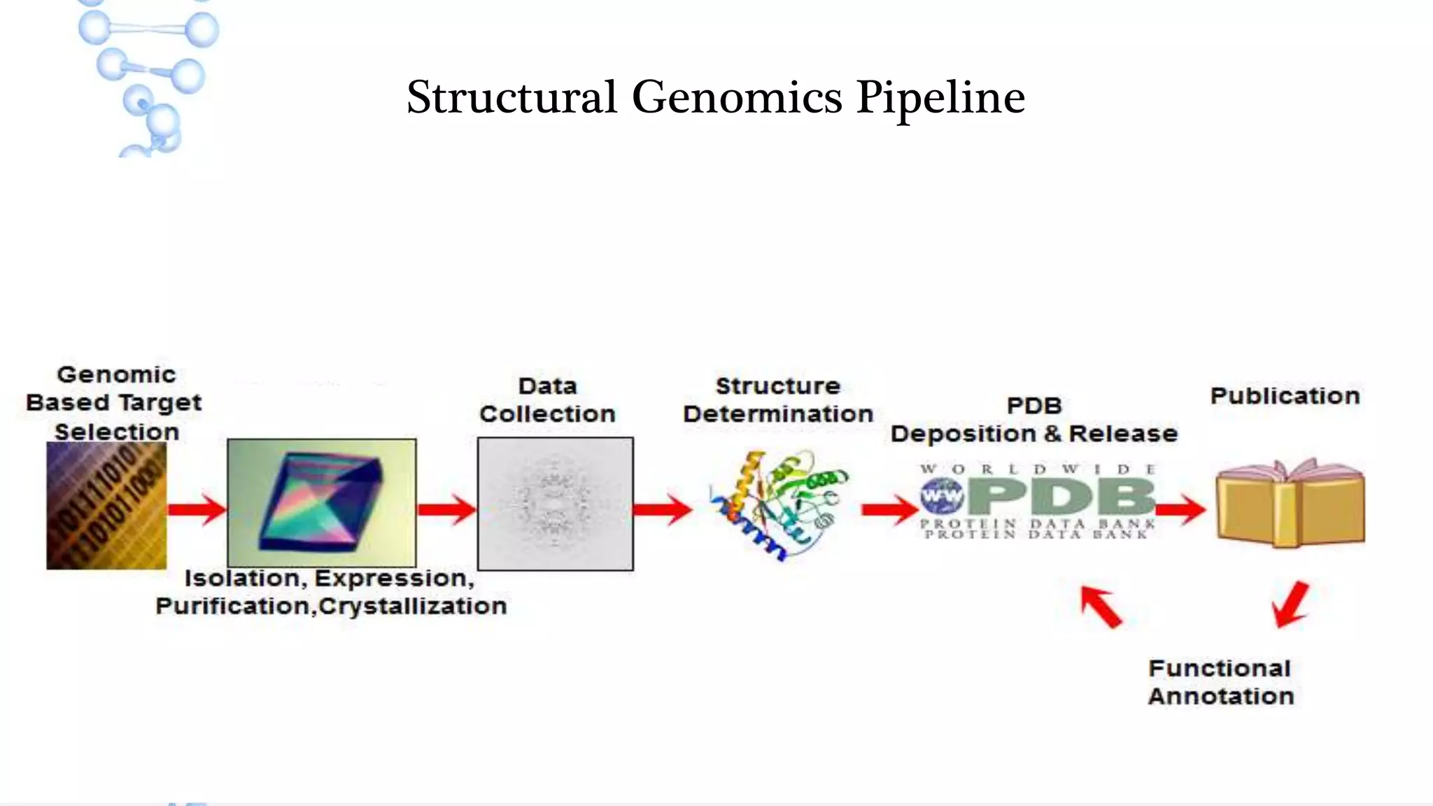Structural Genomics | PPTX