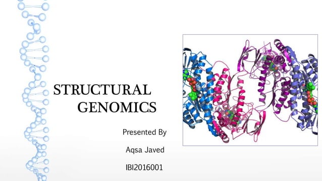 Structural Genomics | PPT