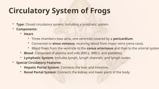 The-Structural-Organization-in-Animals.pptx