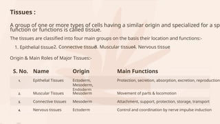 The-Structural-Organization-in-Animals.pptx