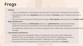 The-Structural-Organization-in-Animals.pptx