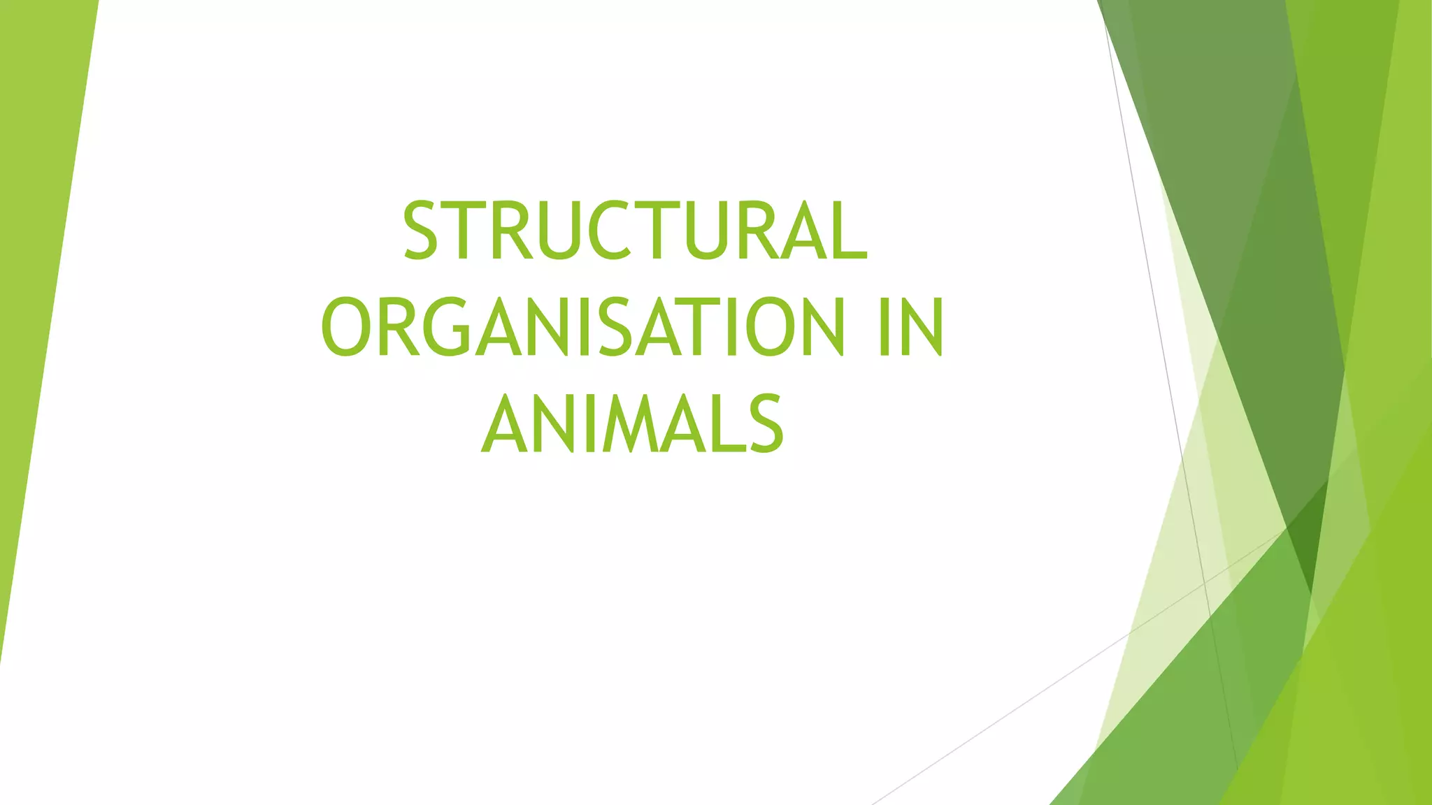 STRUCTURAL-ORGANIZATION-IN-ANIMALS-7.pptx
