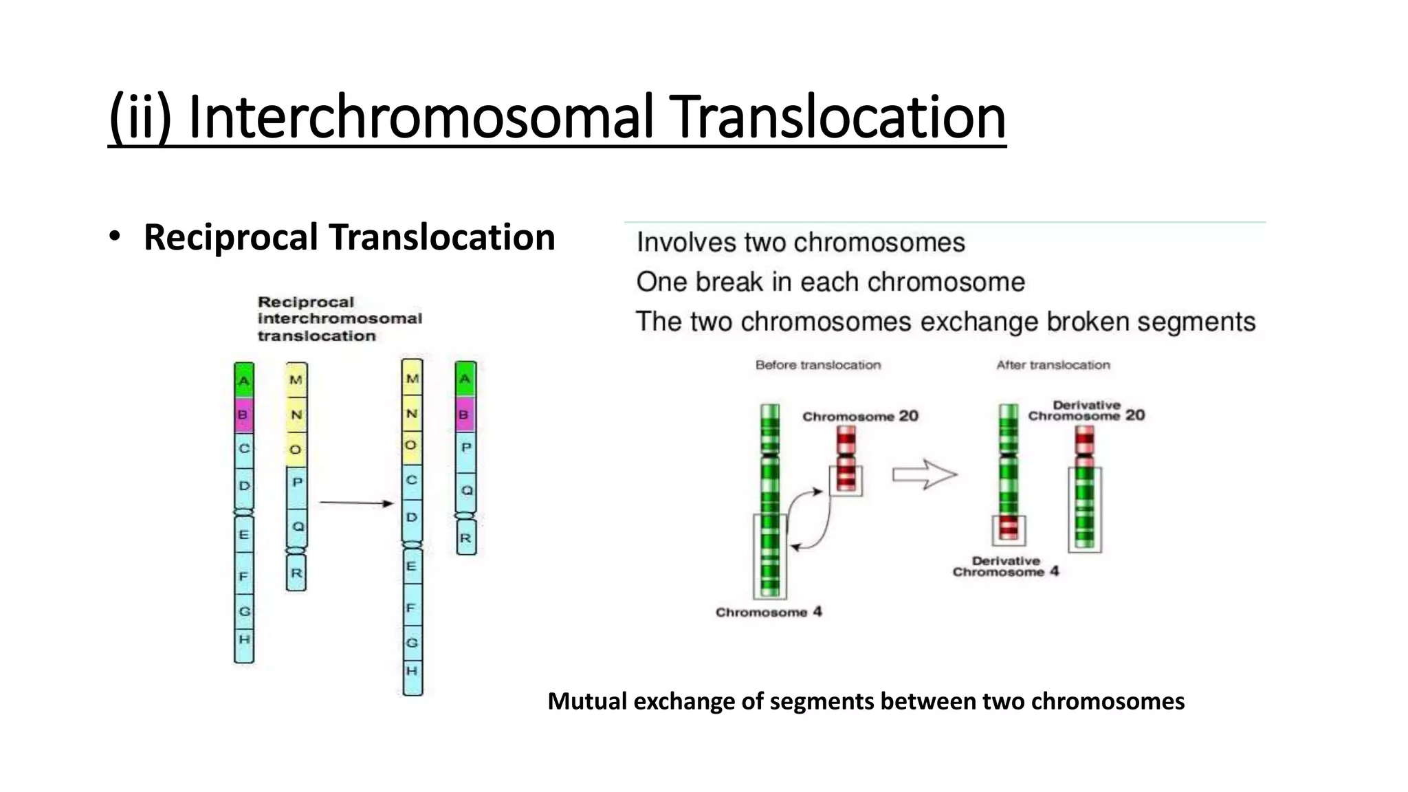 Structural aberrations of chromosomes | PPTX