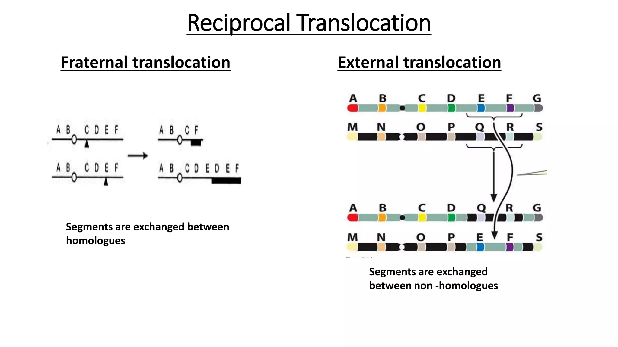 Structural aberrations of chromosomes | PPTX
