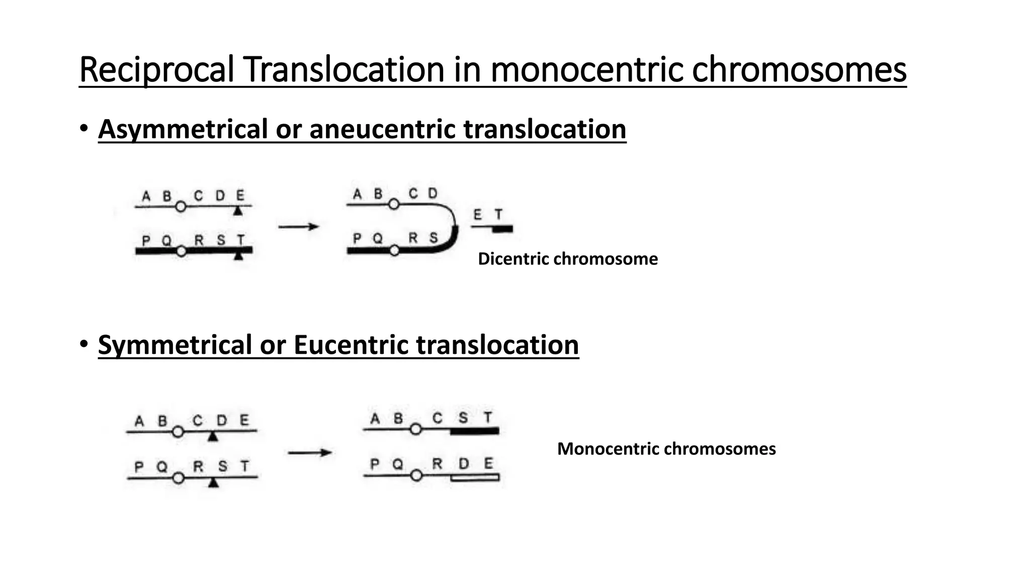 Structural aberrations of chromosomes | PPTX