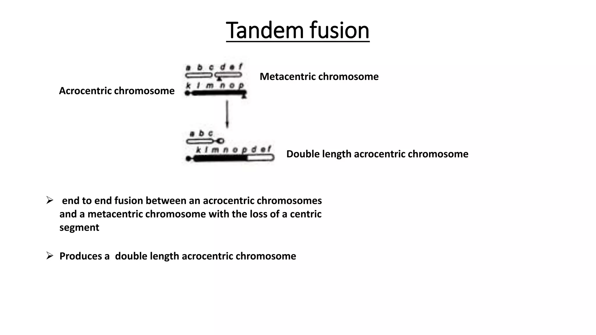 Structural aberrations of chromosomes | PPTX