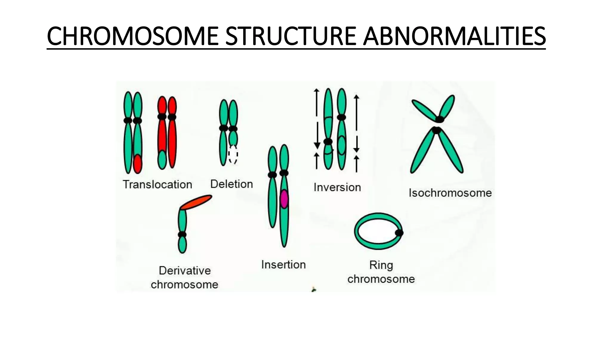 Structural aberrations of chromosomes | PPTX