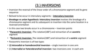 Structural aberrations of chromosomes | PPTX